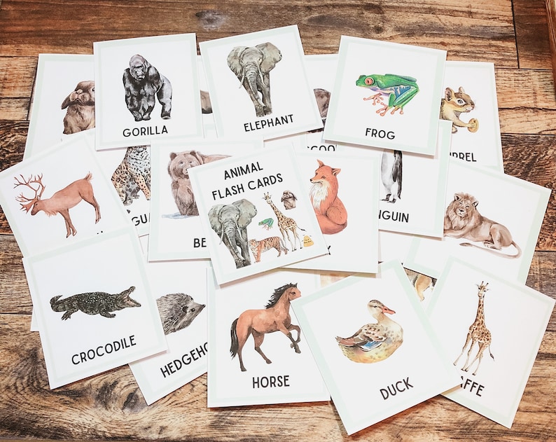 Animal Flash Cards Montessori Printable Educational | Etsy
