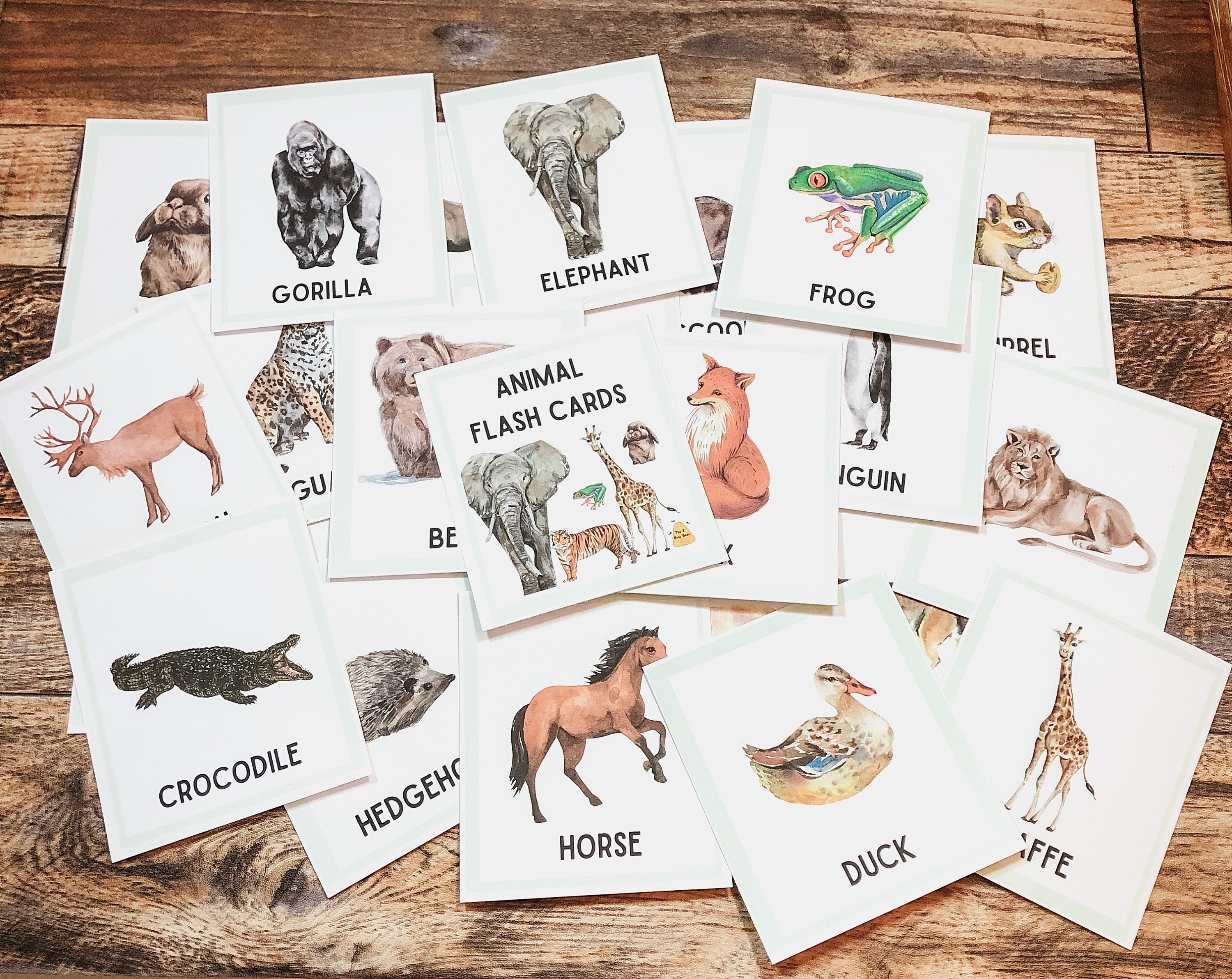 Animal Flash Cards Montessori Printable Educational Material - Etsy