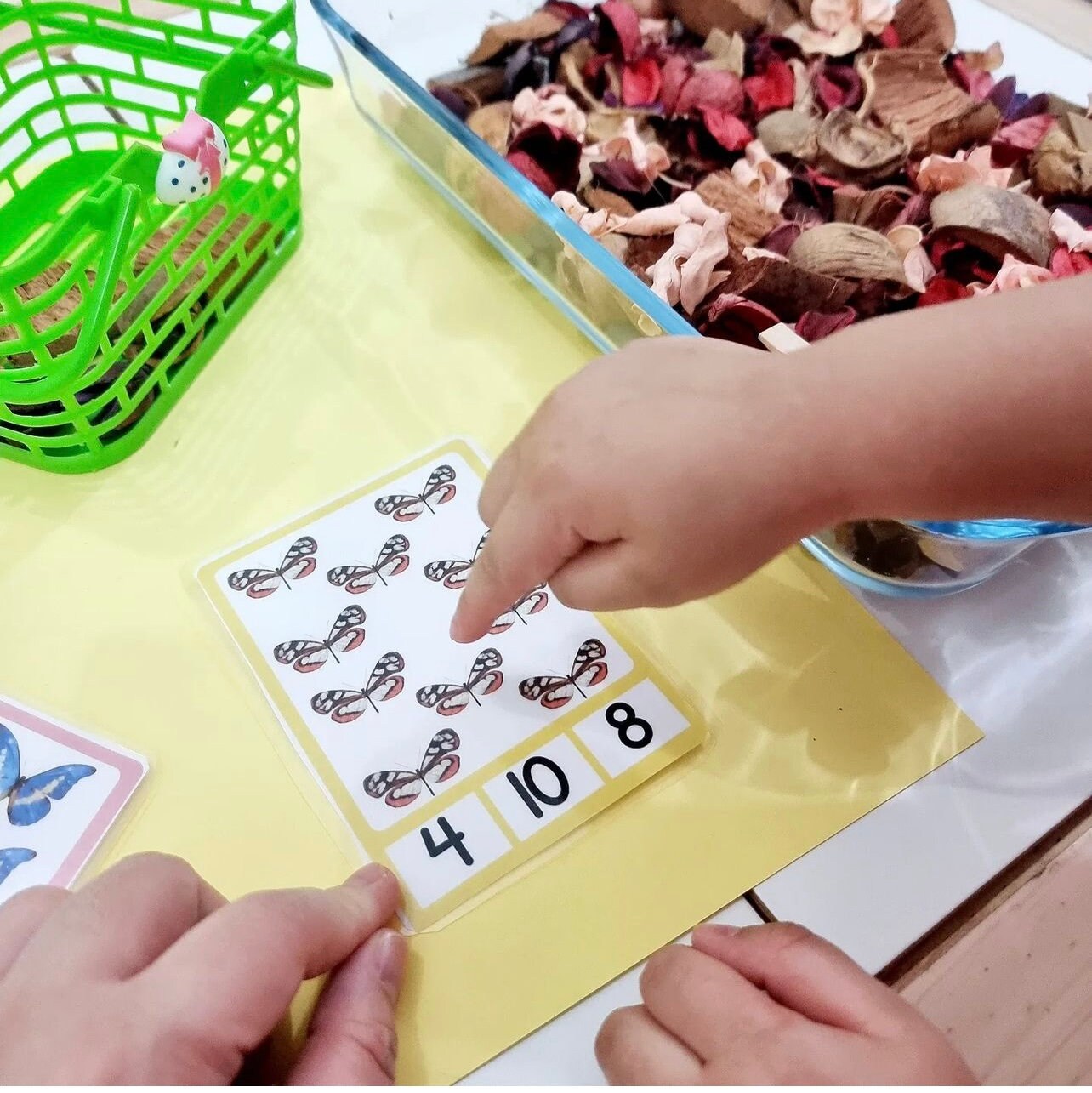 Butterfly Count and Clip Cards • Montessori Printable • Butterfly Study ...