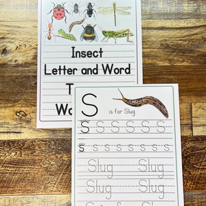 Insect Letter Tracing Worksheet • Insect Learning • Mini Beasts ...