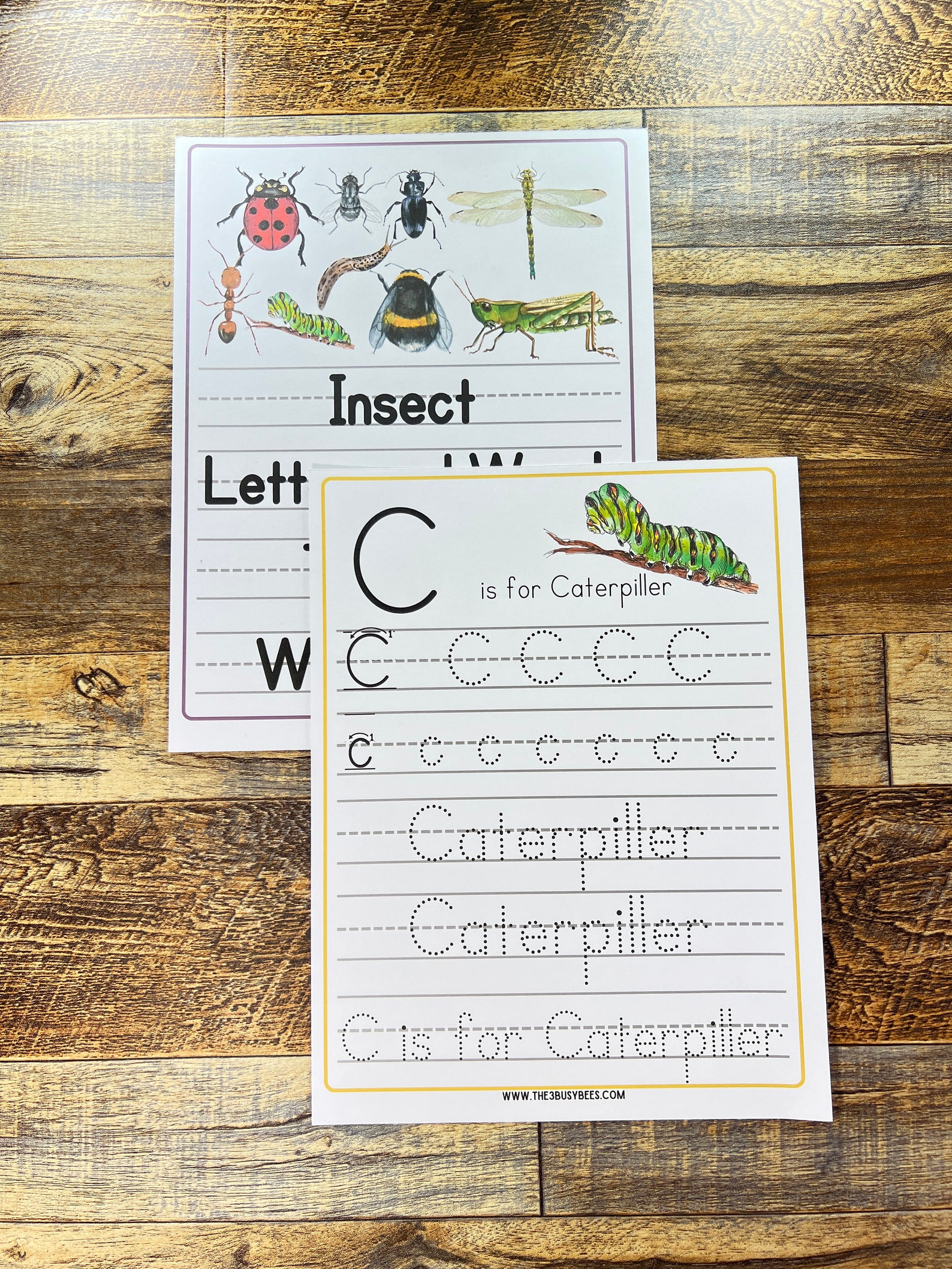 Insect Letter Tracing Worksheet • Insect Learning • Mini Beasts ...