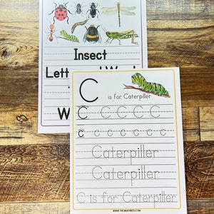 Insect Letter Tracing Worksheet • Insect Learning • Mini Beasts ...