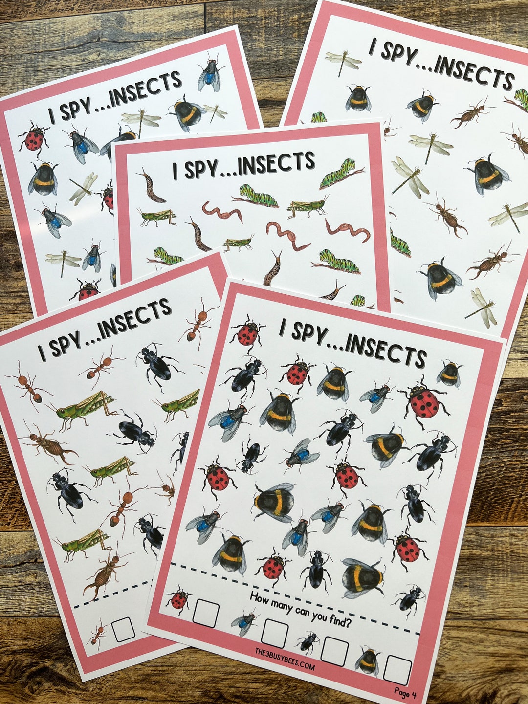 Insect I Spy Printable • Insect Learning • Mini Beasts Printable • Busy ...