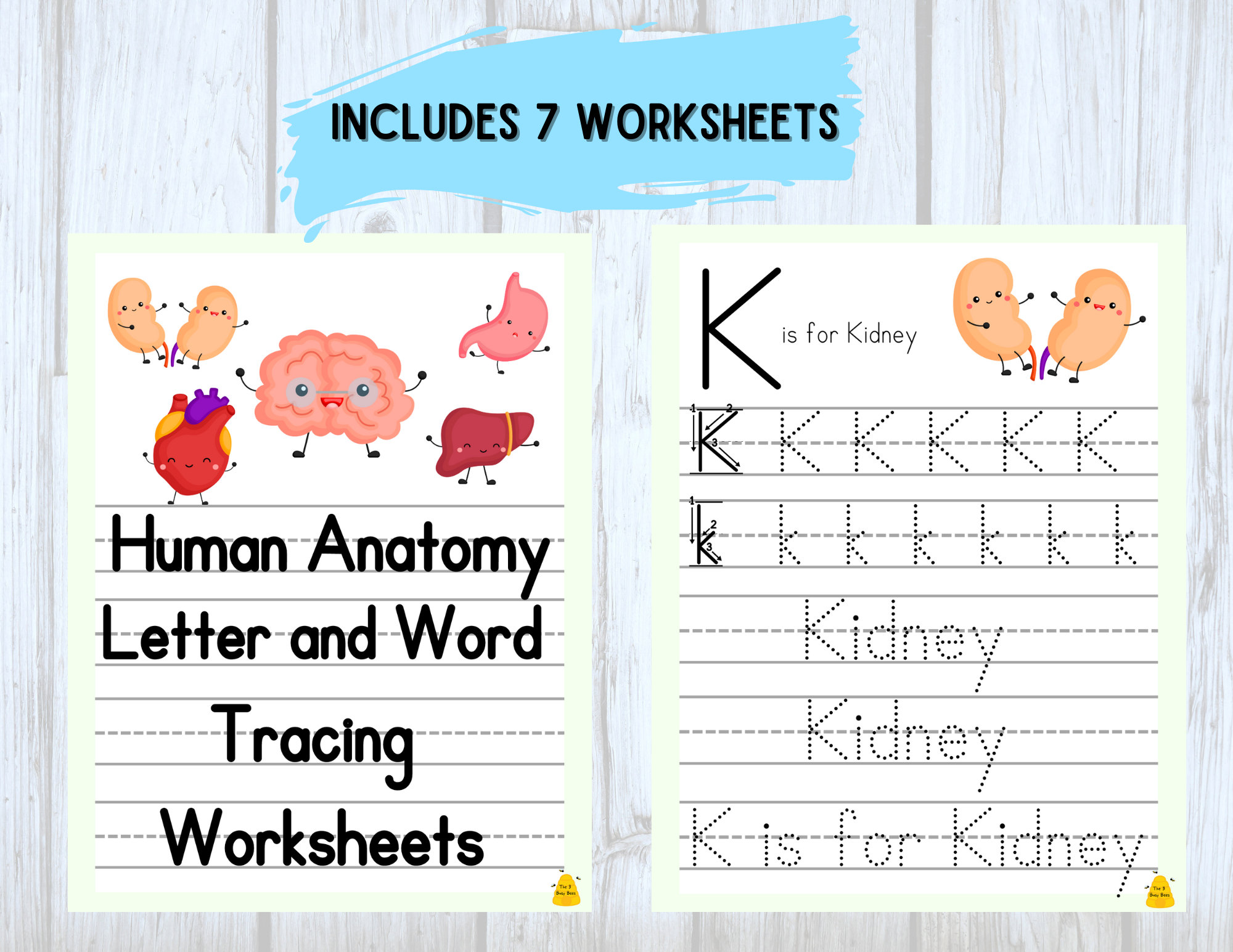 Human Anatomy Letter and Word Tracing Worksheet • Preschool Printable ...