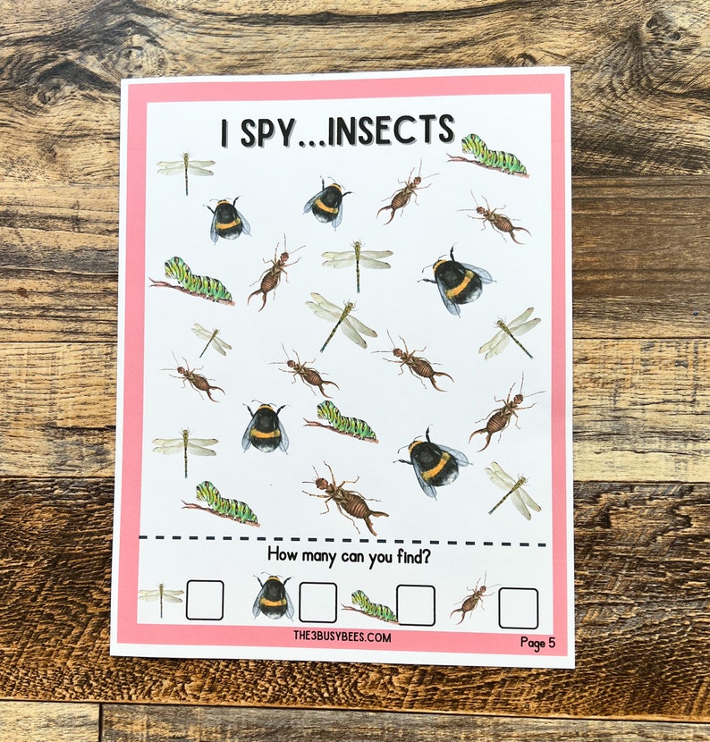 Insect I Spy Printable • Insect Learning • Mini Beasts Printable • Busy ...