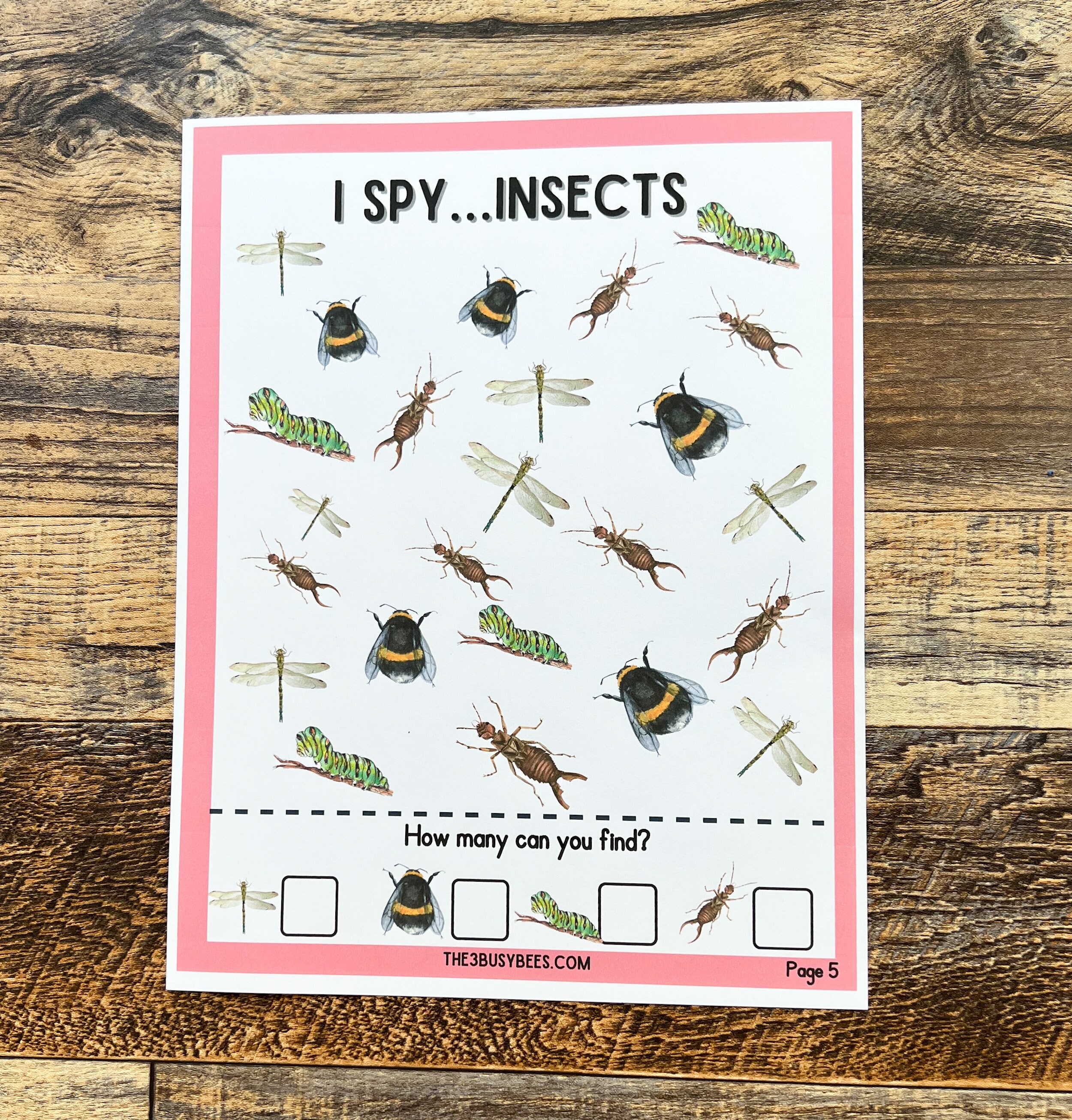 Insect I Spy Printable • Insect Learning • Mini Beasts Printable • Busy ...