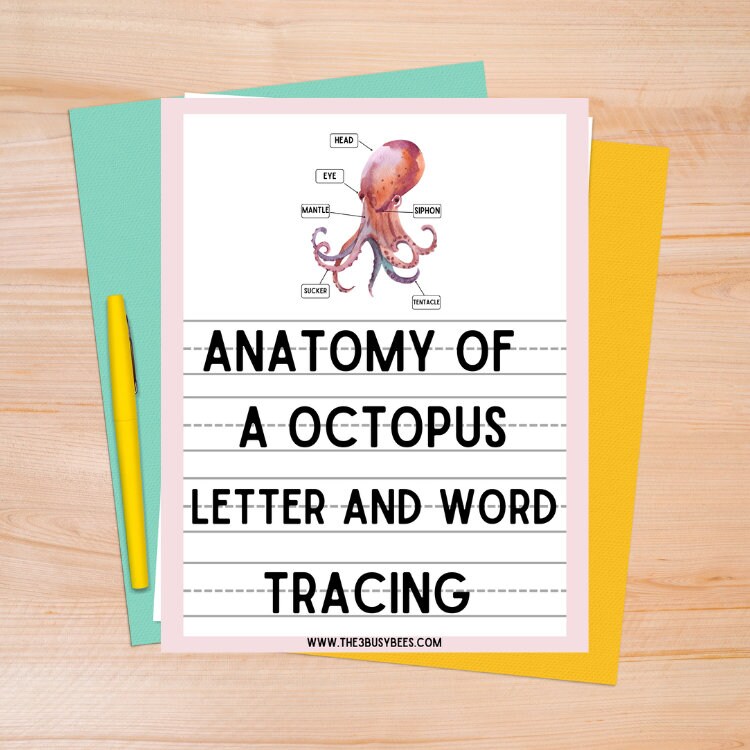 Anatomy of a Octopus Letter and Word Tracing - Etsy