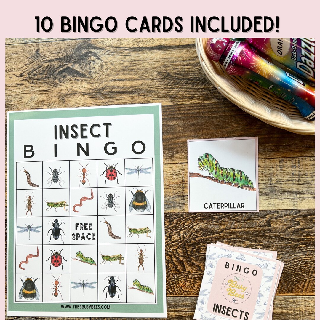 Insect Bingo Printable Insect Learning Mini Beasts Printable Busy ...