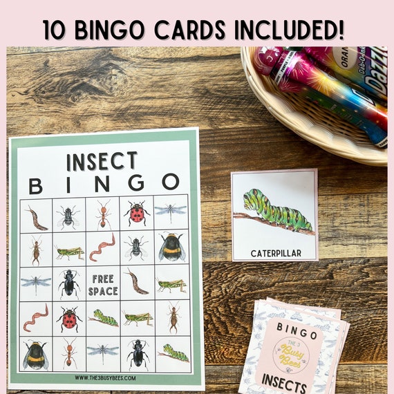 Bingo de insectos imprimible Aprendizaje de insectos Mini🥟 Descubra o ...