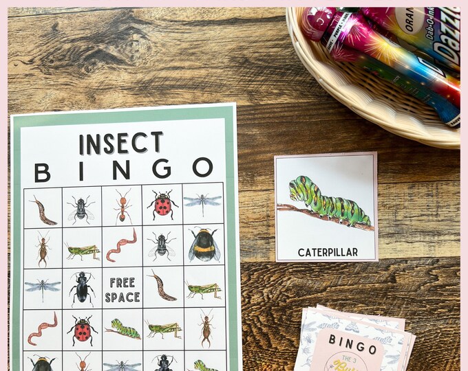 Insect I Spy Printable • Insect Learning • Mini Beasts Printable • Busy ...