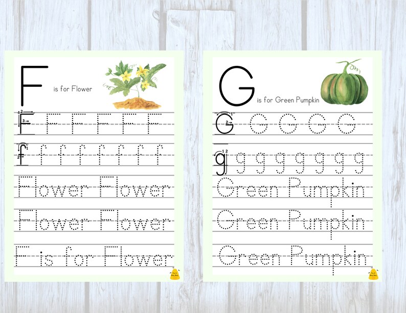 Life Cycle of a Pumpkin Letter and Word Tracing Worksheets / - Etsy