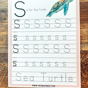 Life Cycle of a Sea Turtle Letter and Word Tracing / Handwriting ...