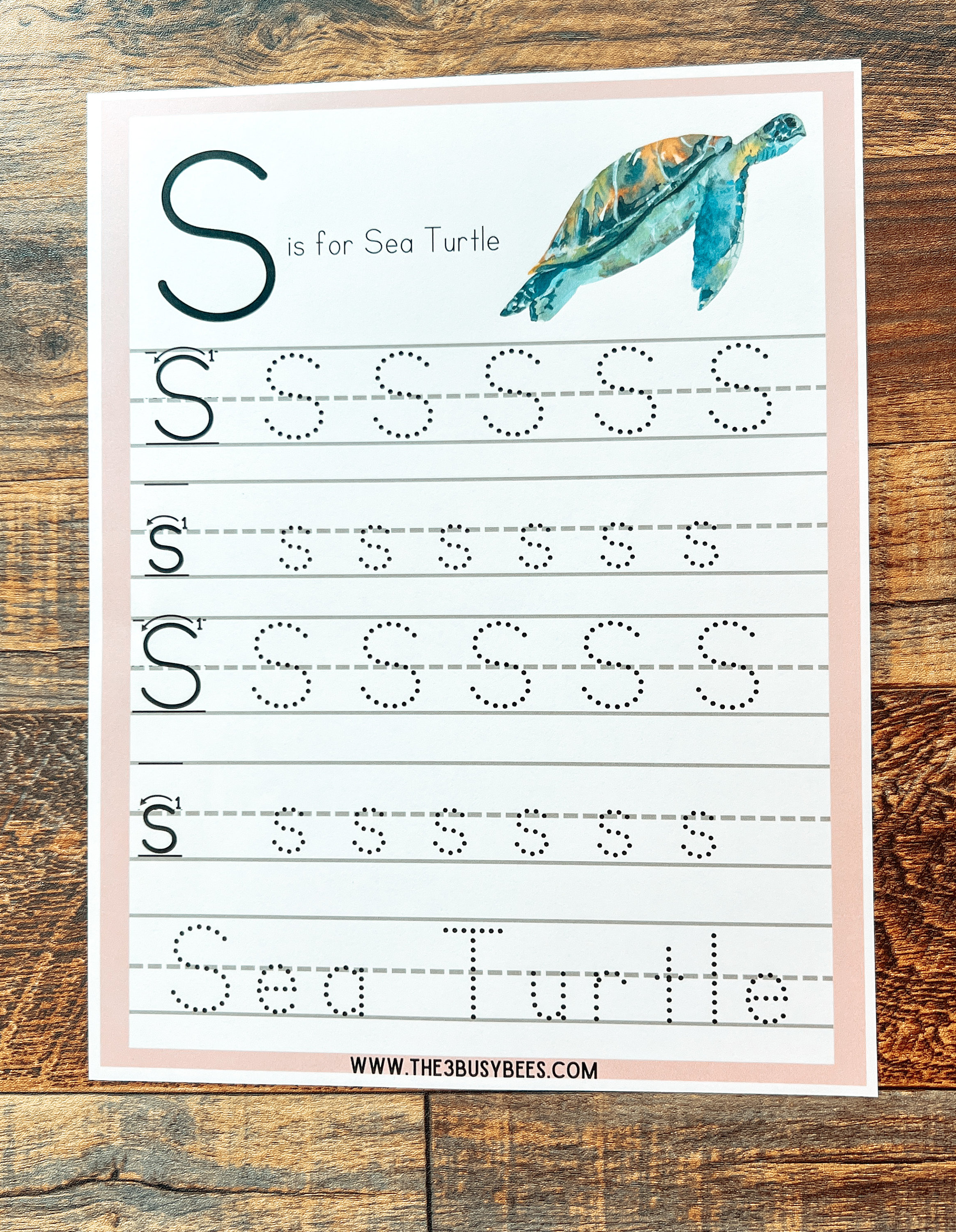 Life Cycle of a Sea Turtle Letter and Word Tracing / Handwriting ...