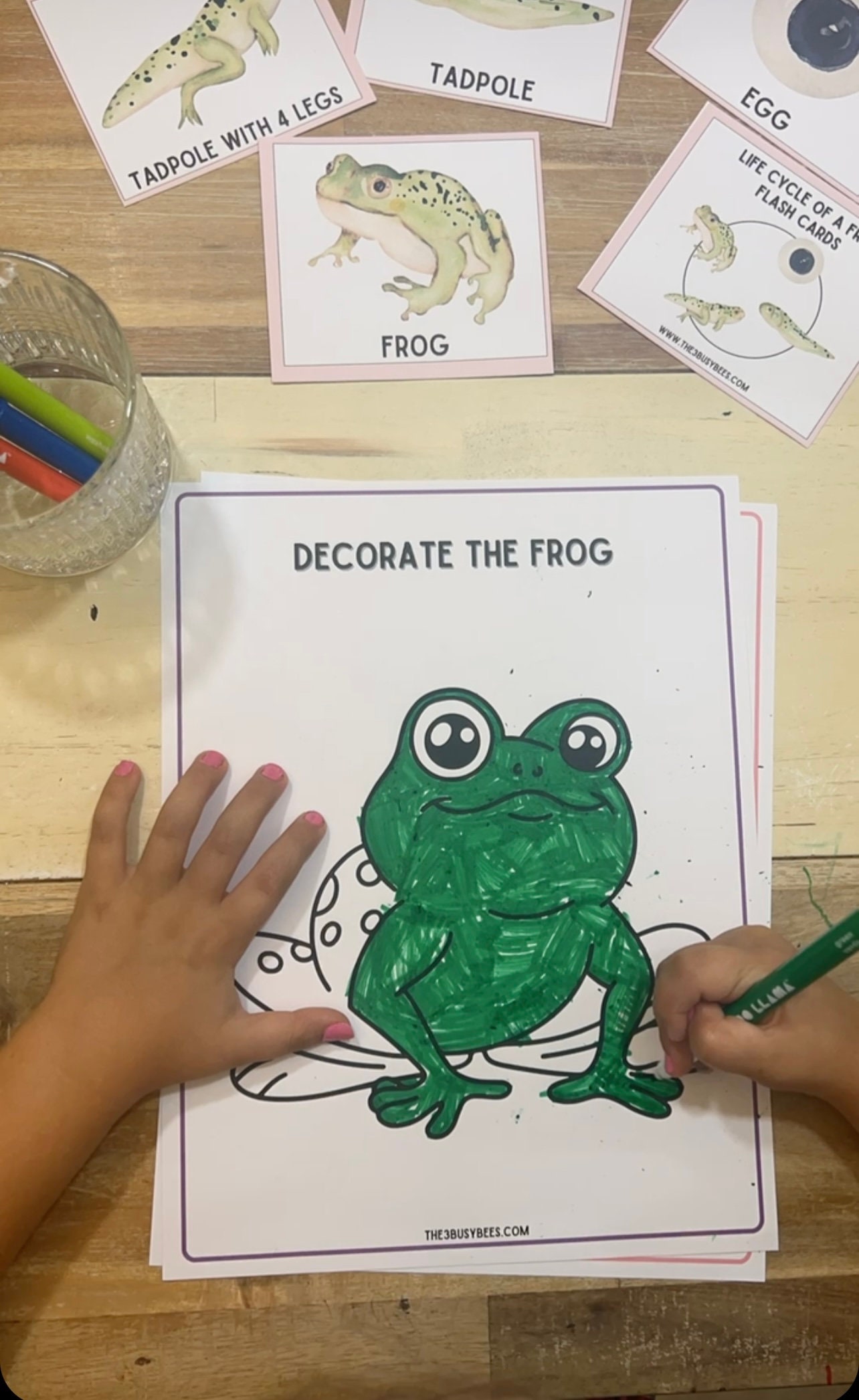 Decorate the Frog Printable / Art Activity / Preschool Learning / Frog ...