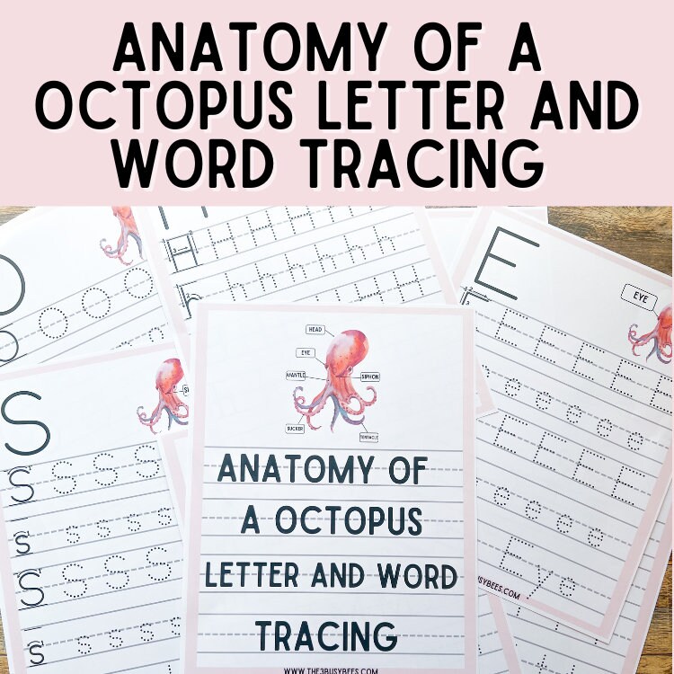 Anatomy of a Octopus Letter and Word Tracing - Etsy
