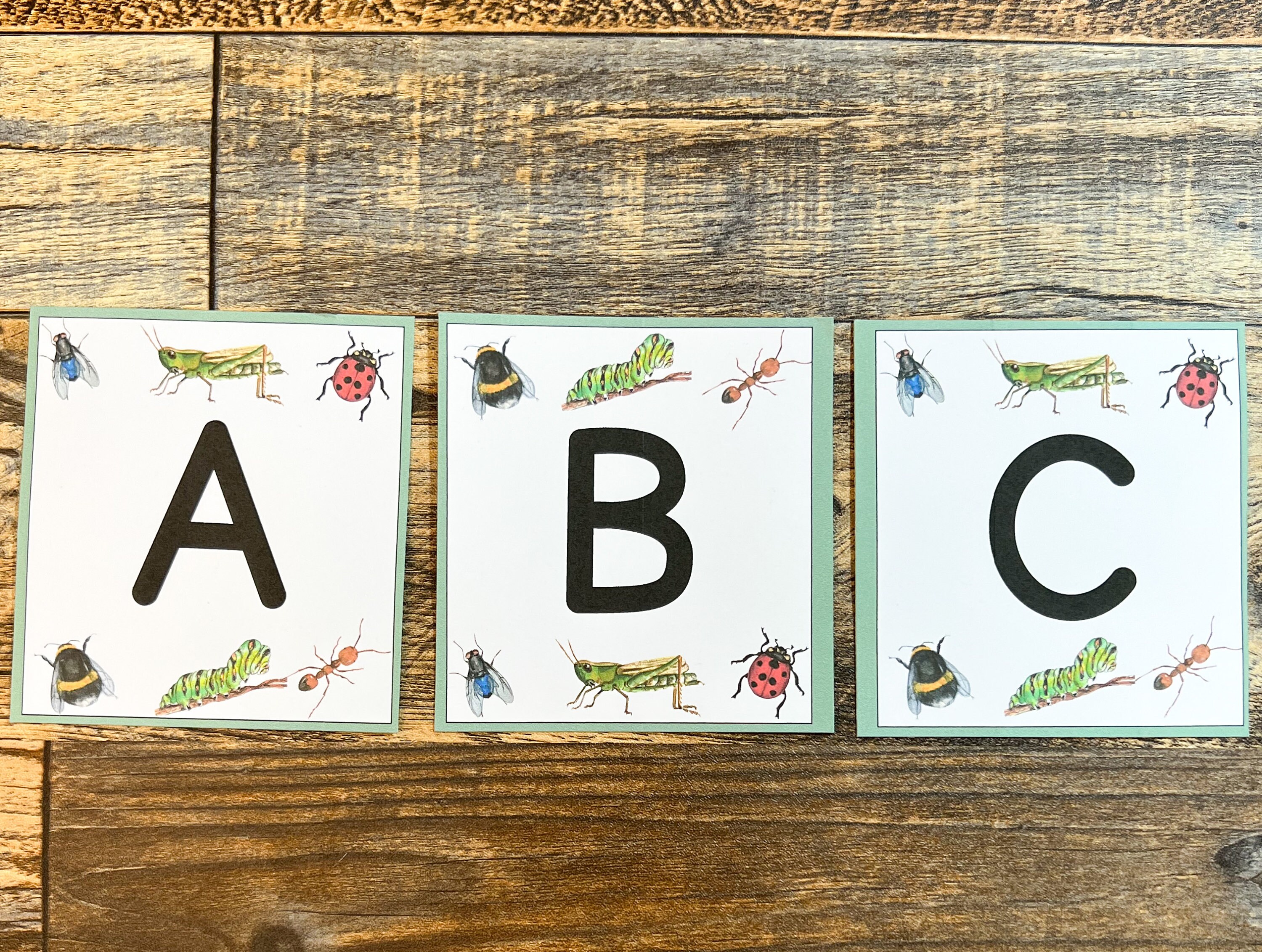 Insect ABC Flash Cards // Insect Bundle // Letter Learning - Etsy