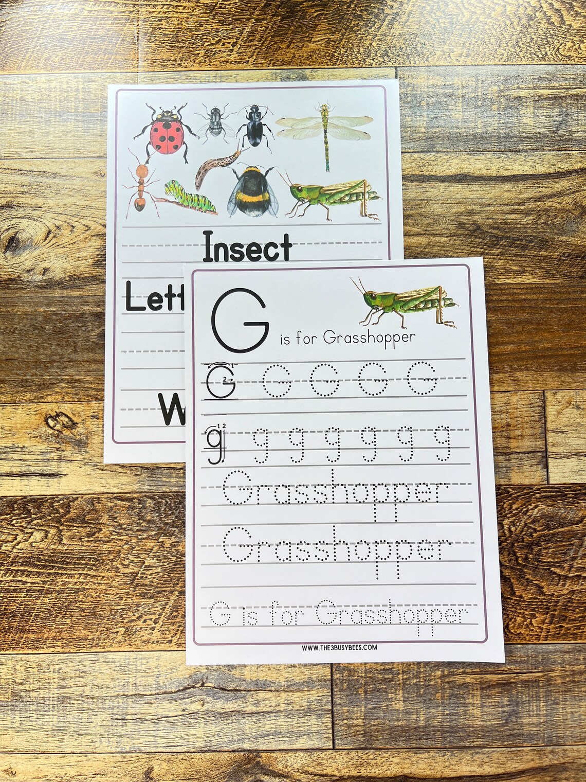 Insect Letter Tracing Worksheet • Insect Learning • Mini Beasts ...