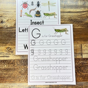 Insect Letter Tracing Worksheet • Insect Learning • Mini Beasts ...
