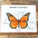 Anatomy of a Butterfly Montessori Printable Butterfly Study Busy Binder ...
