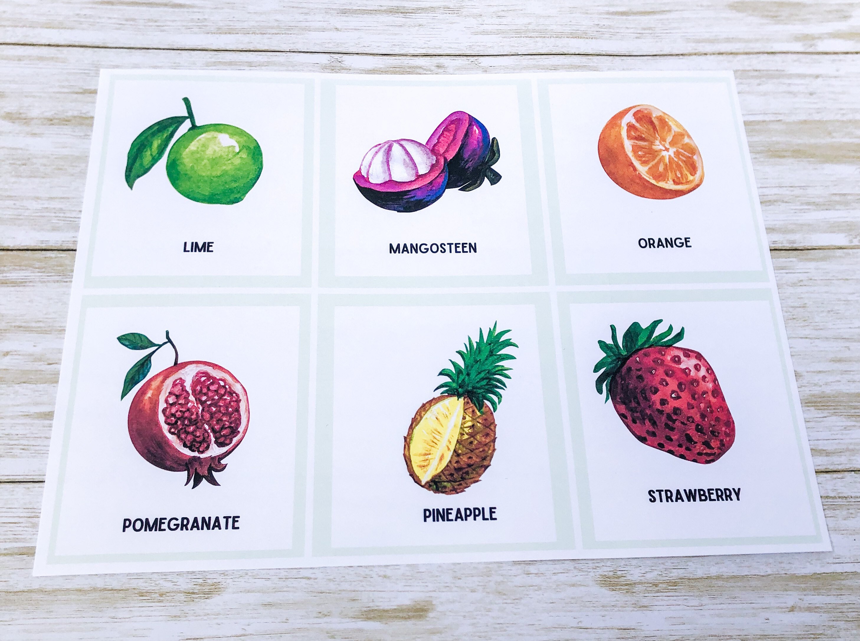Tropical Fruit Flash Cards Montessori Printable - Etsy