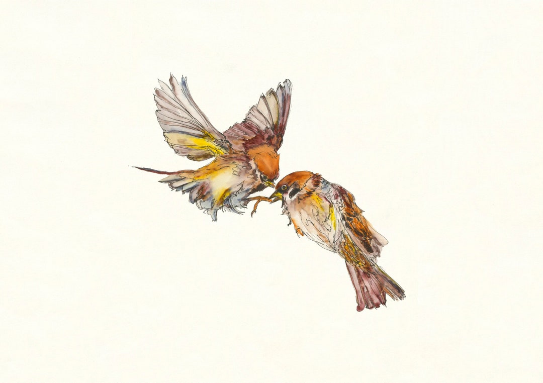 Sparrows Spuggies Bird Watercolour Print - Etsy