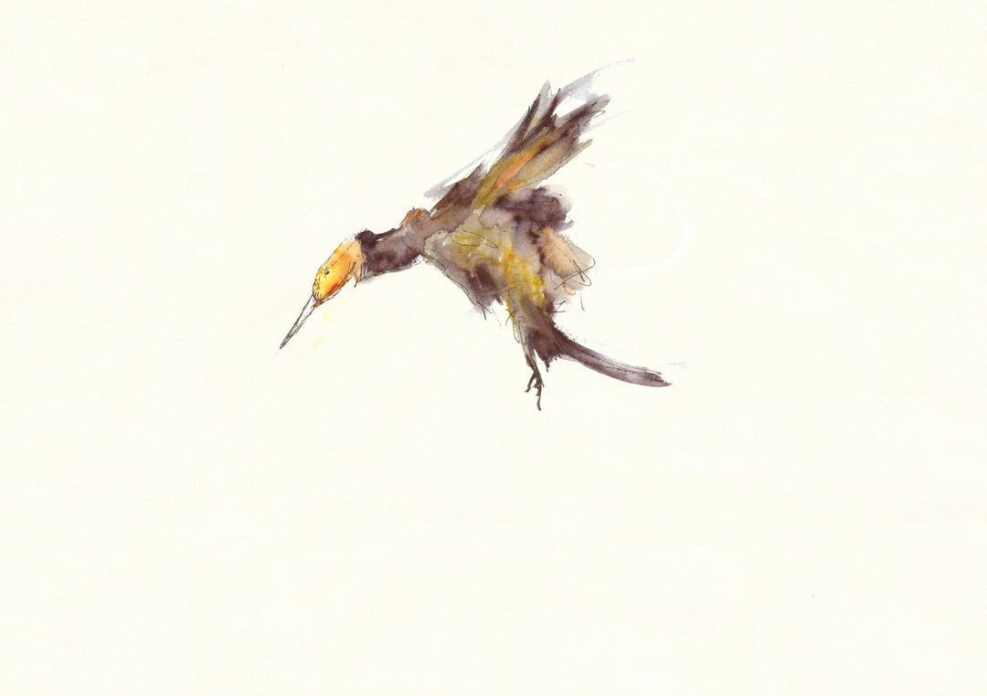 Dunkin Dunk Bird Watercolour Print - Etsy