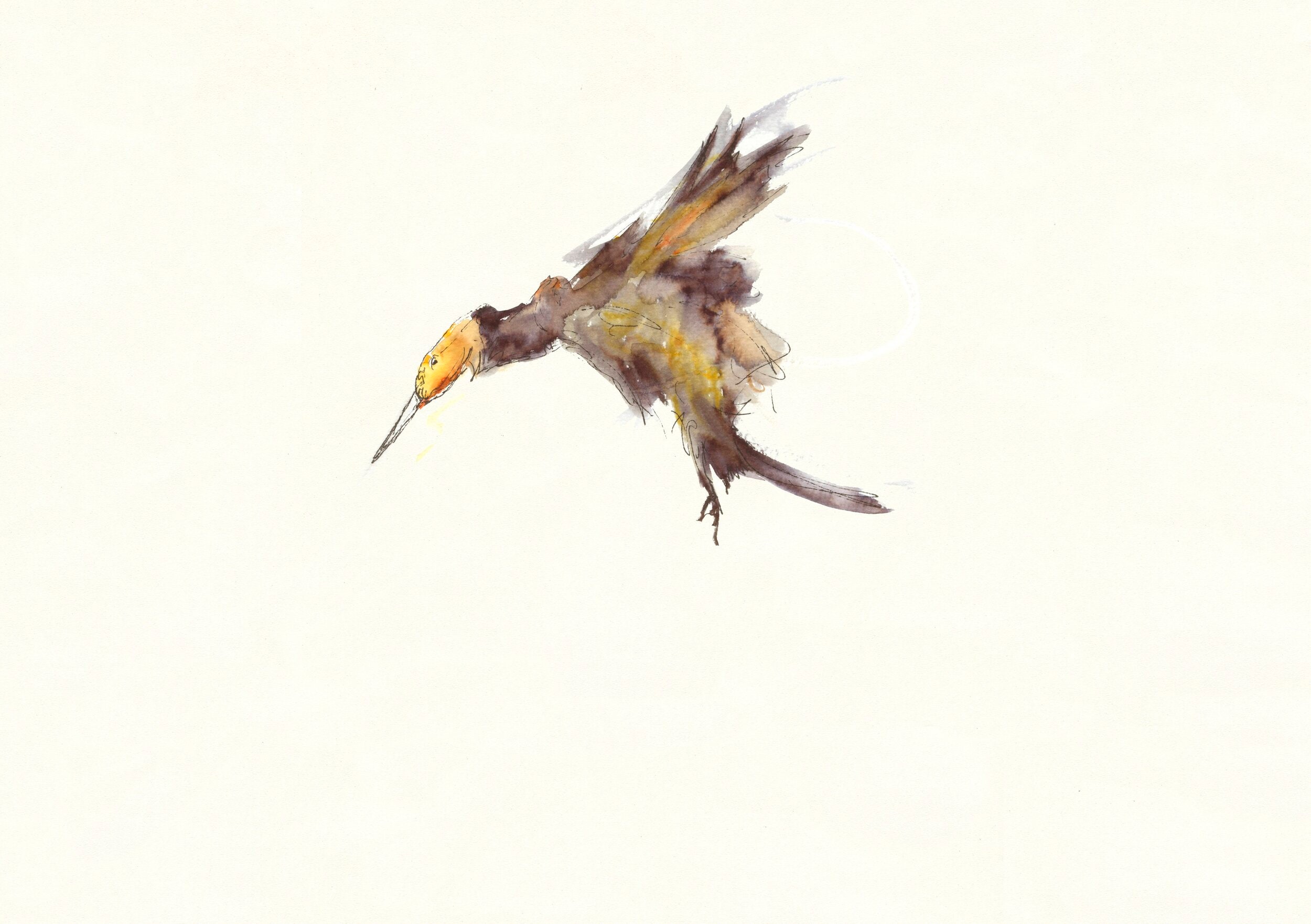 Dunkin Dunk Bird Watercolour Print - Etsy