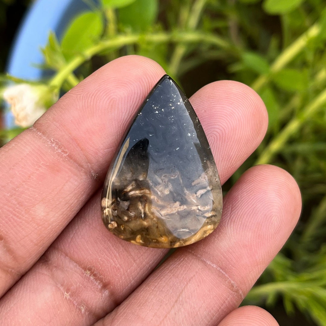 Palm Root Natural Petrified Palm Root Cabochon Palm Root - Etsy