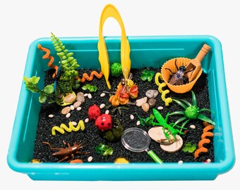 Insect Sensory Bins - Etsy