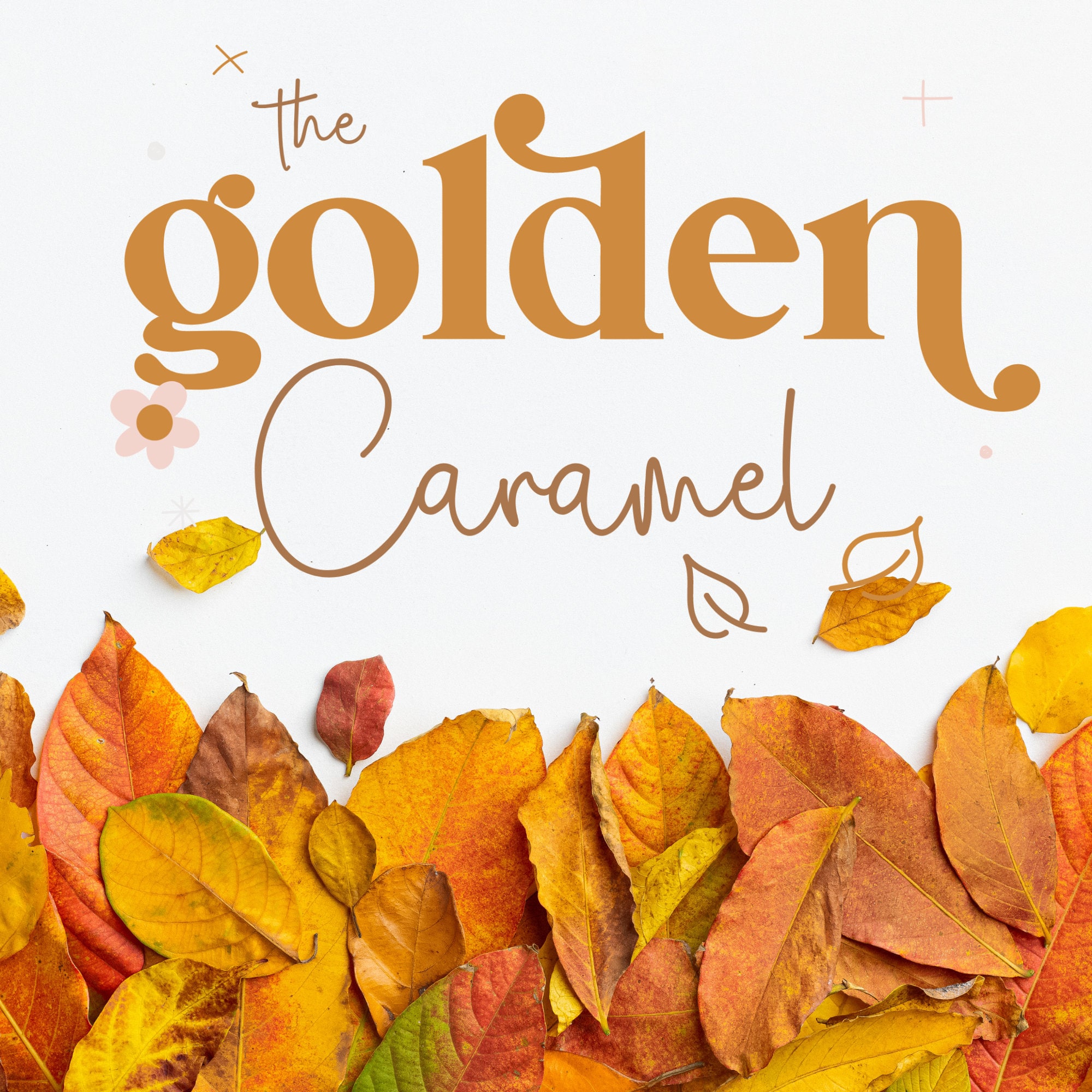 Boho Premade Logo Design Bright Boho Logo Retro Boutique Logo Logos and ...