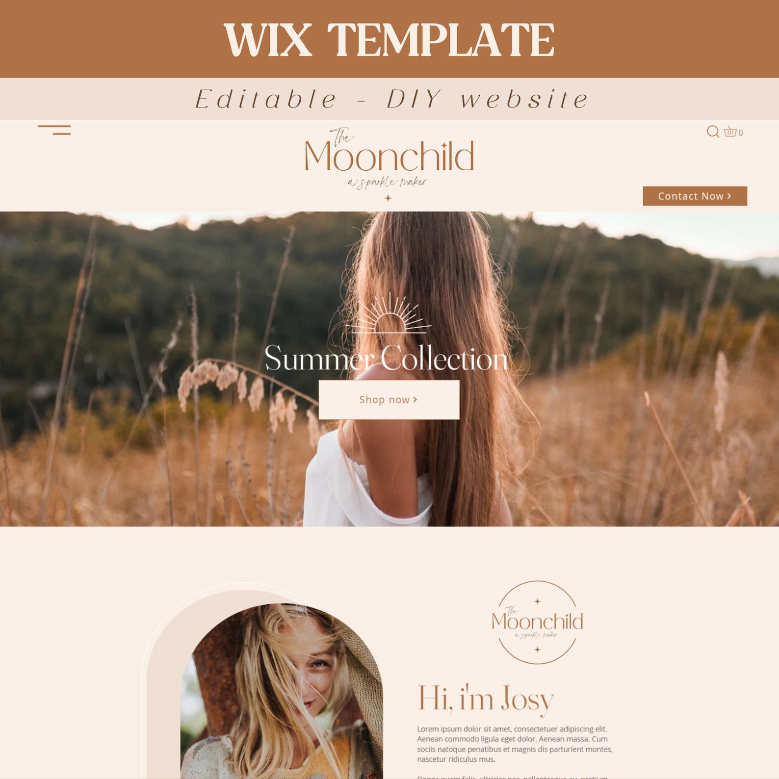 Wix Website Template for Coach Influencer Blogger Small Businesses ...