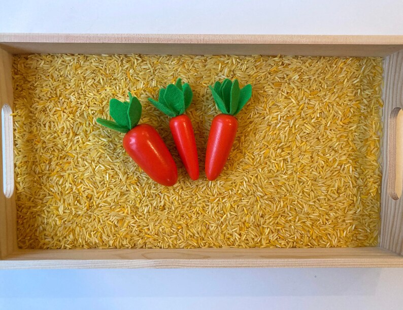 Montessori Carrots Sensory Box - Etsy