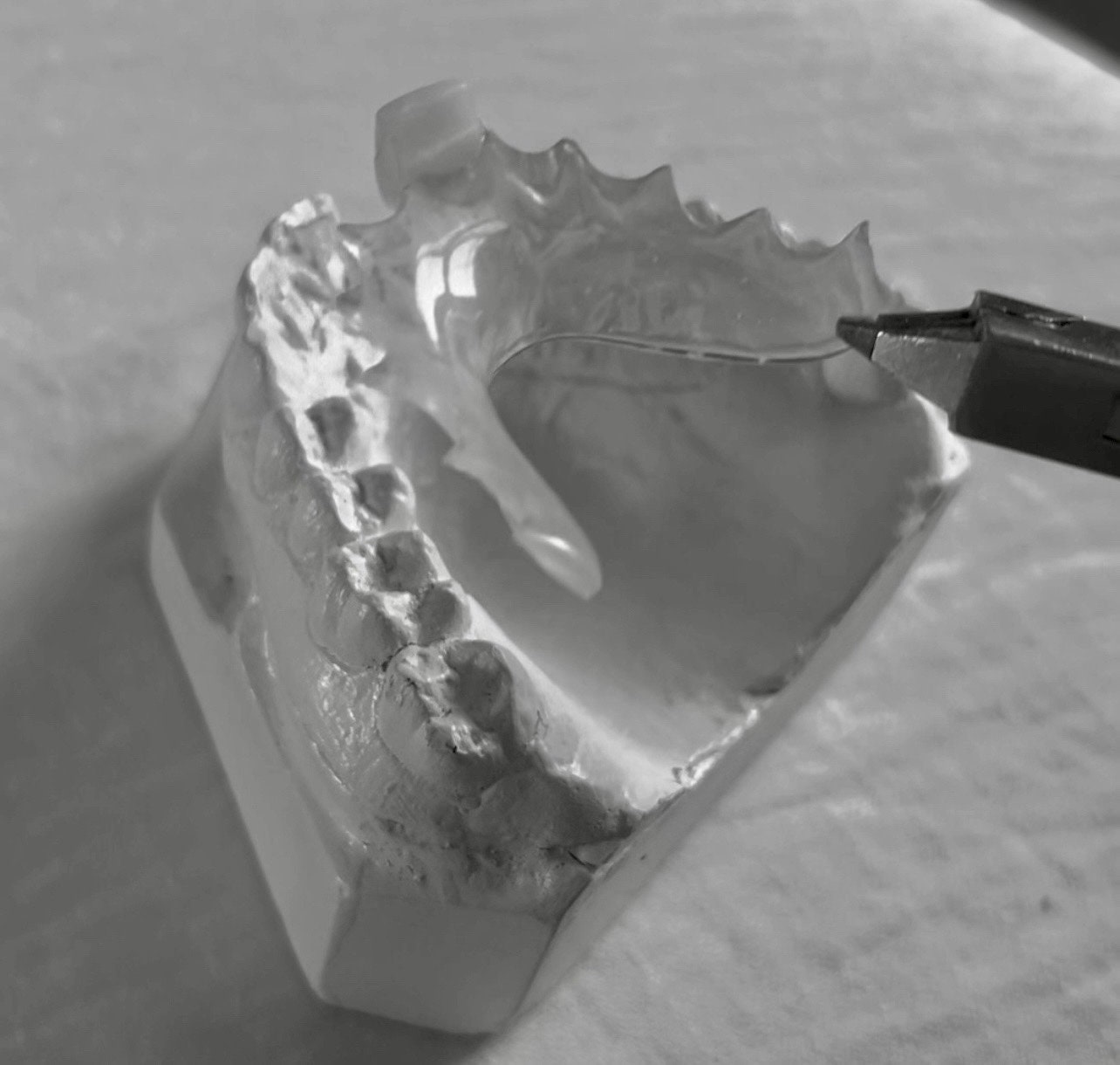 Flipper Nesbit Custom Fitted Missing Teeth Space Filler Cosmetic ...