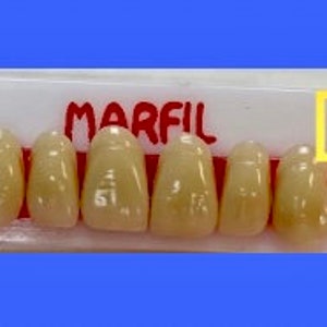 Flipper Nesbit Custom Fitted Missing Teeth Space Filler Cosmetic ...