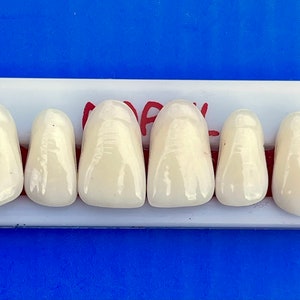 Flipper Nesbit Custom Fitted Missing Teeth Space Filler Cosmetic ...