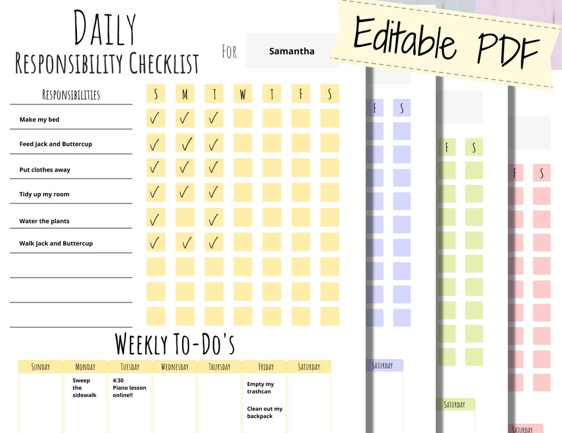 Printable Responsibility Chart, Routine Checklist, Editable, INSTANT ...