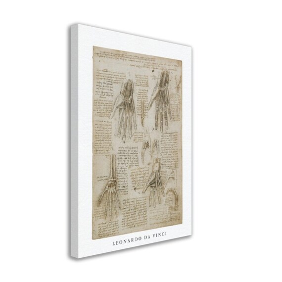 Anatomy Da Vinci Hand