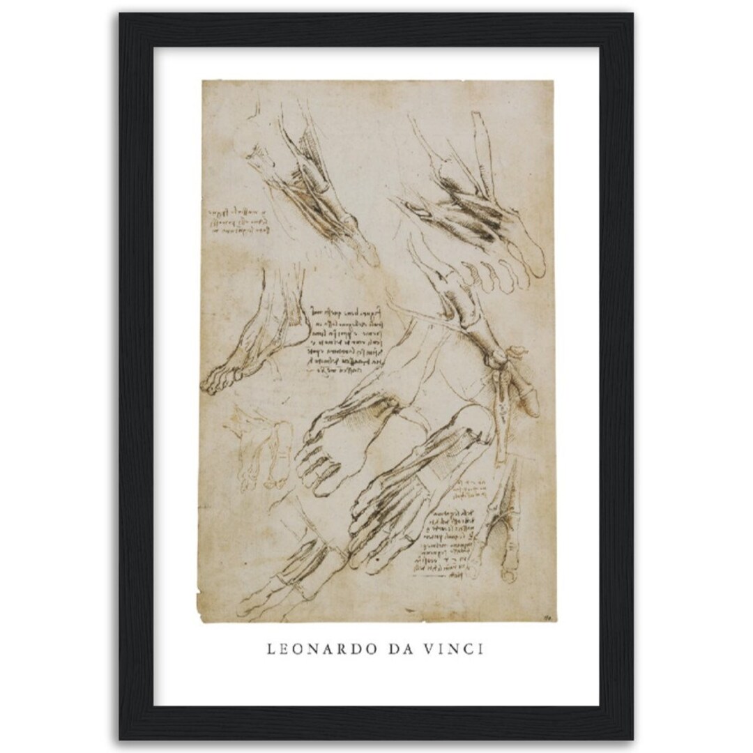 Leonardo Da Vinci Anatomy Foot Sketch Wooden Framed Poster Premium ...