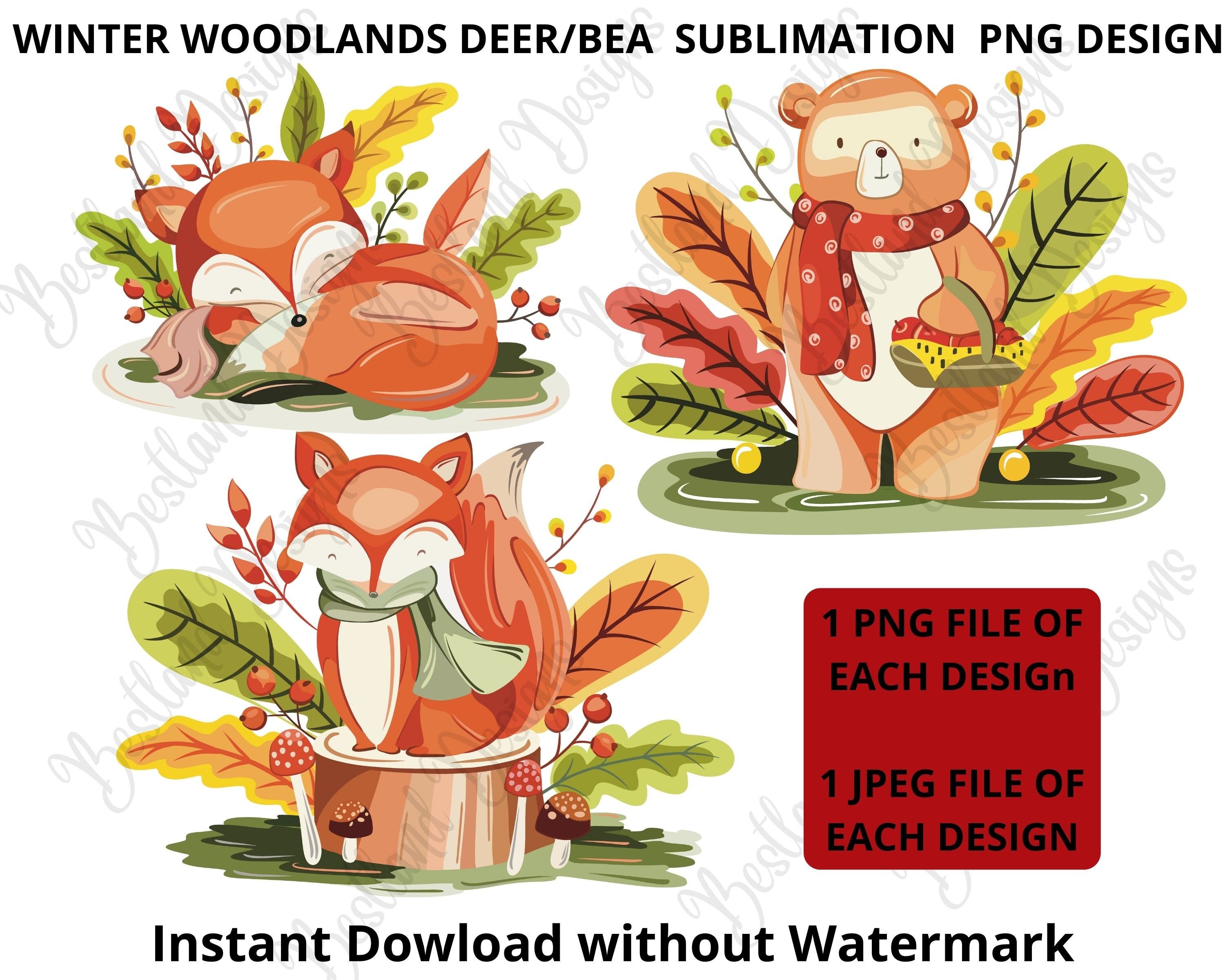 Woodland Animals PNG. Forest Clipart. Fall Watercolor Clipart. - Etsy ...