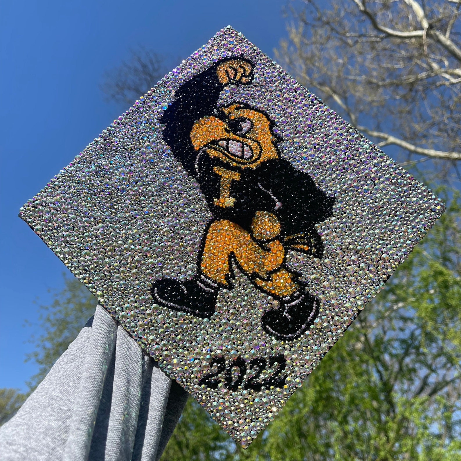 Custom Rhinestone Bedazzled Graduation Cap - Etsy