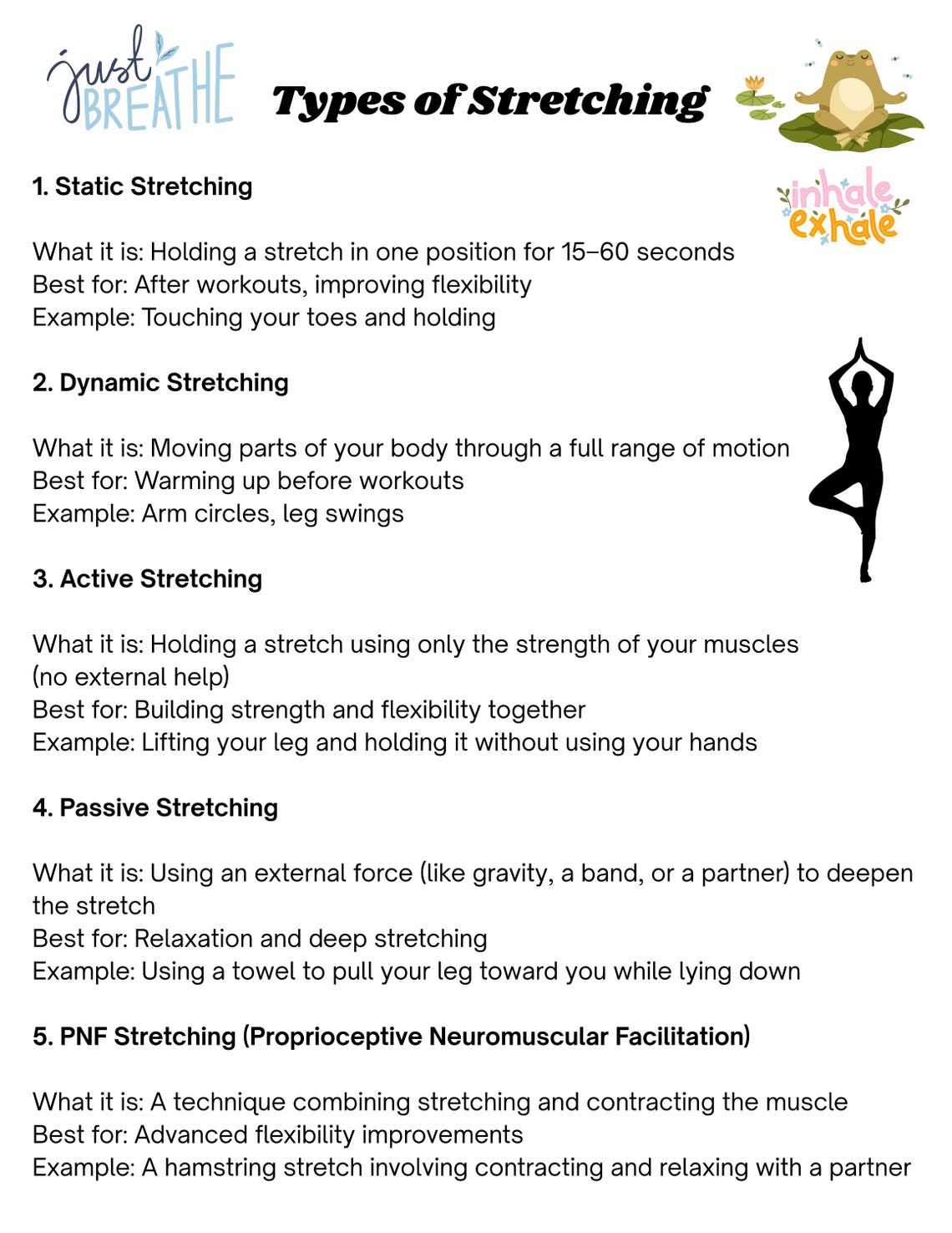 Guide to Stretching, Mobility & Posture Guide: Full-body Flexibility ...