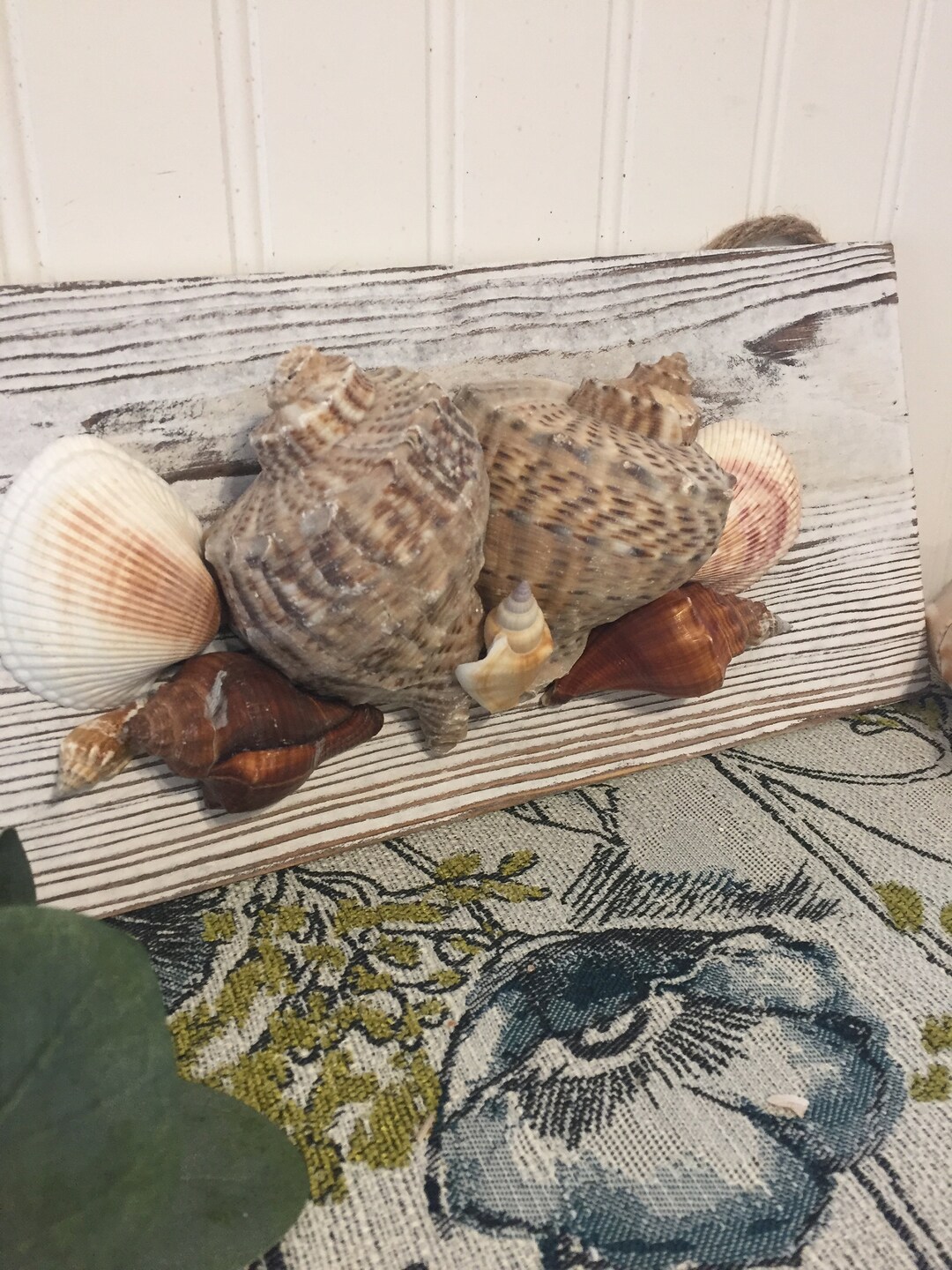 Seashell Wall Decor, Beach House Decor, Coastal Decor - Etsy