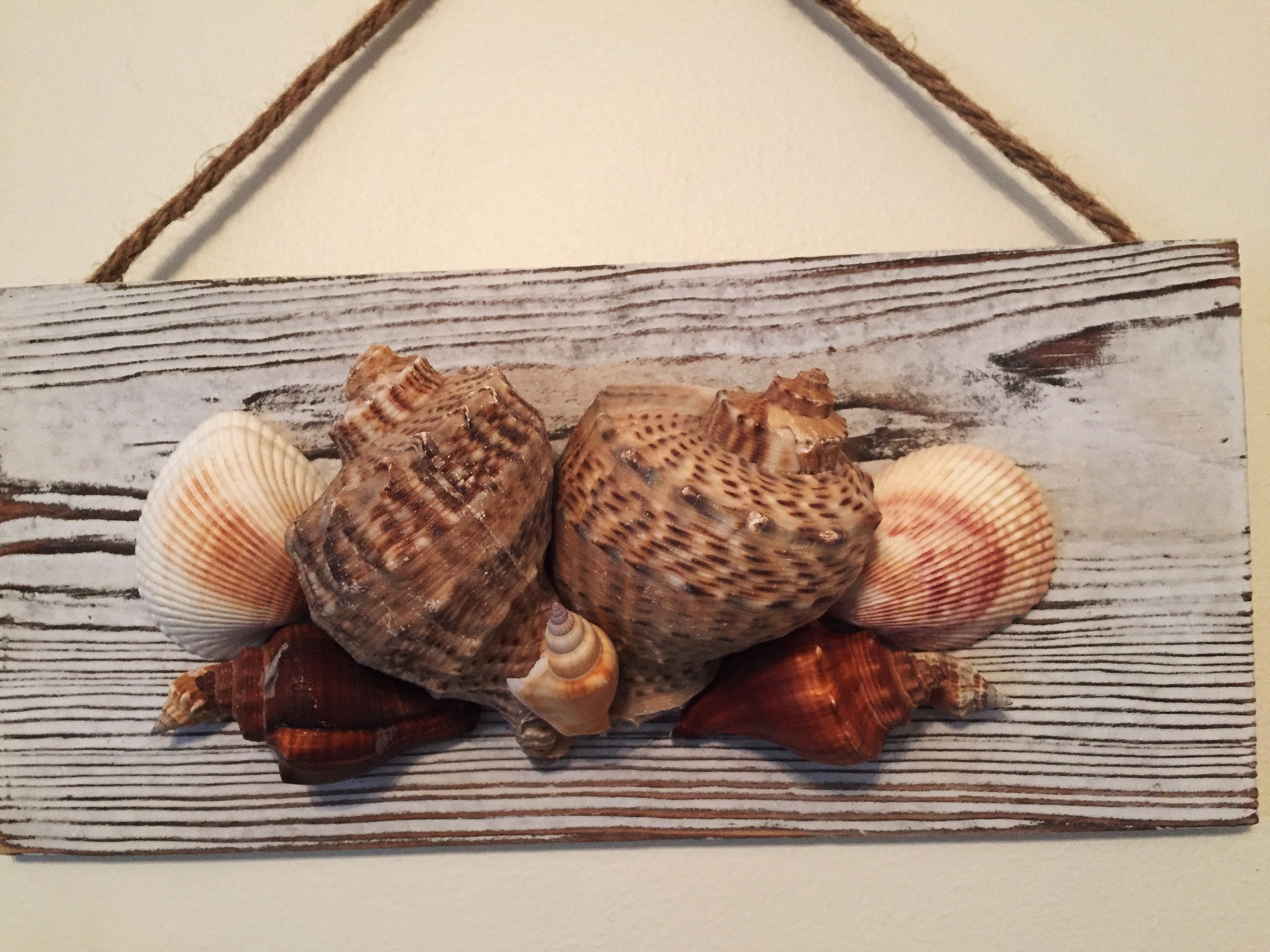 Seashell Wall Decor, Beach House Decor, Coastal Decor - Etsy