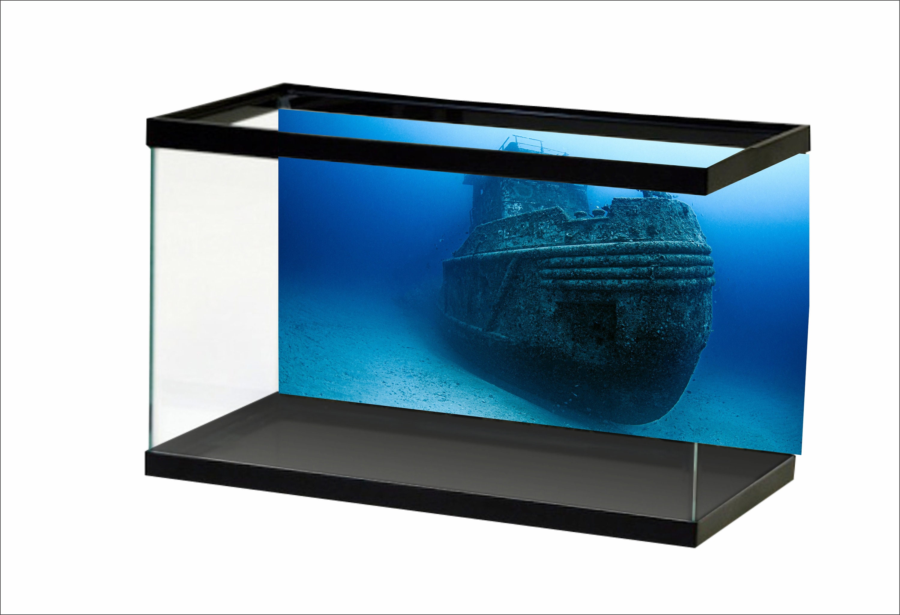 Aquarium Background Sunshine Underwater World Fish Tank Background ...