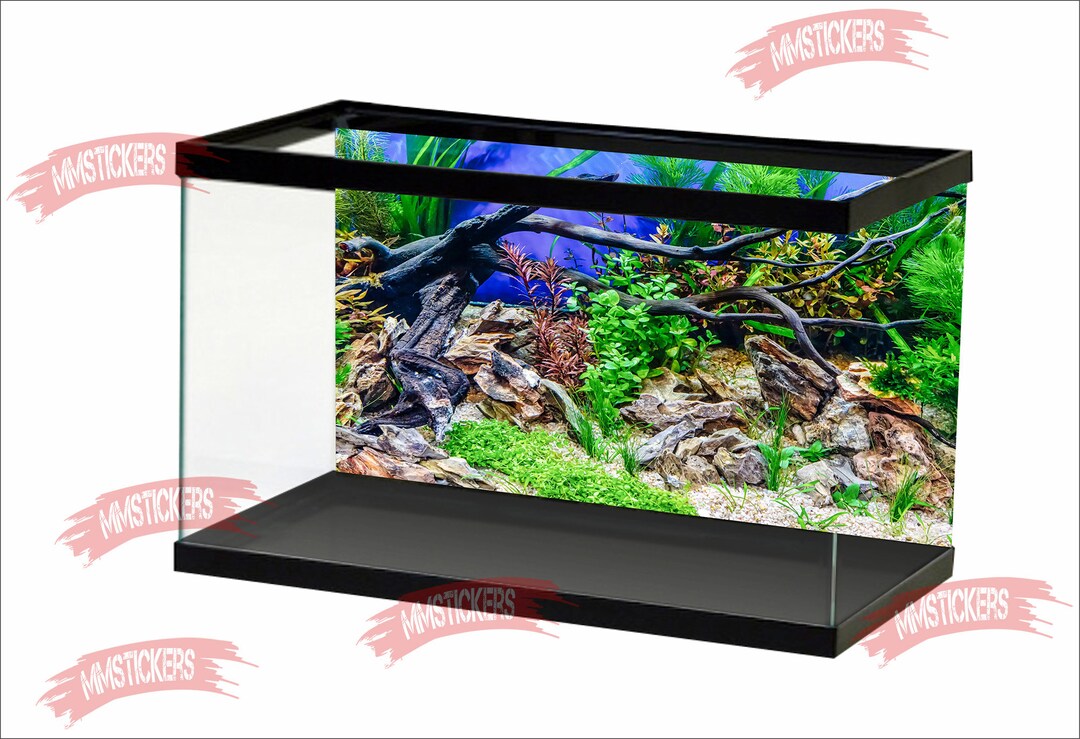 Aquarium Background Sunshine Underwater World Fish Tank Background ...