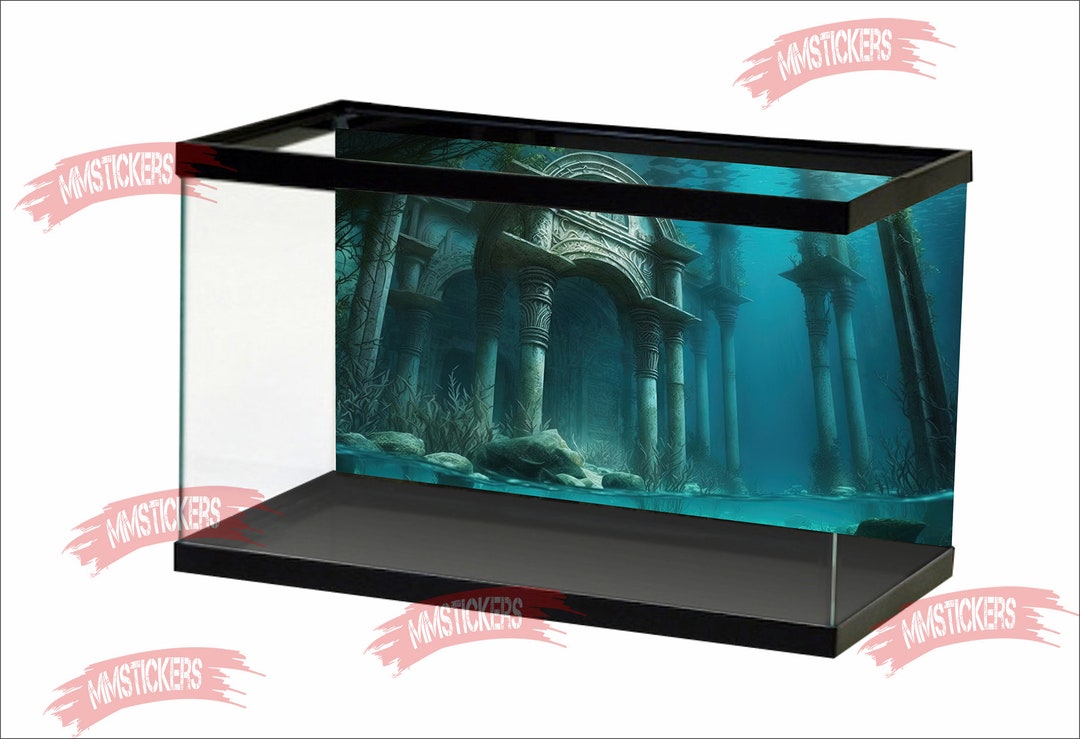 Aquarium Background Sunshine Underwater World Fish Tank Background ...