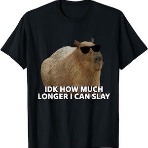 Idk How Much Longer I Can Slay Capybara Sarcastic Dank Meme - Etsy UK