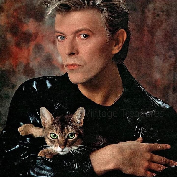 David Bowie Cat Art - Etsy