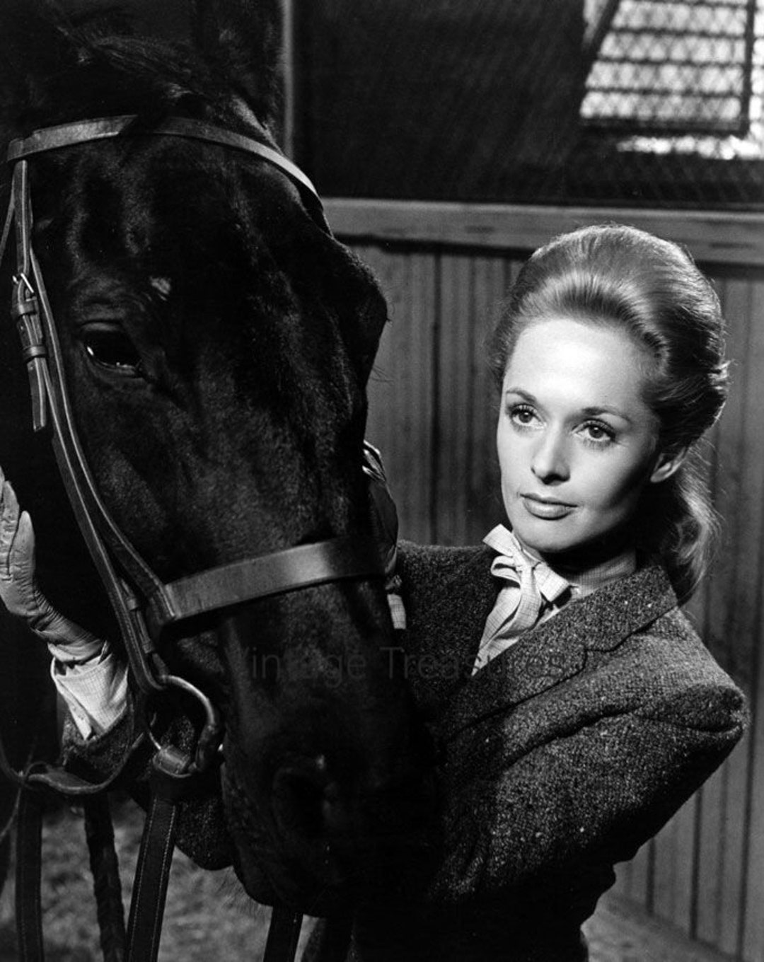 Tippi Hedren in marnie - Etsy