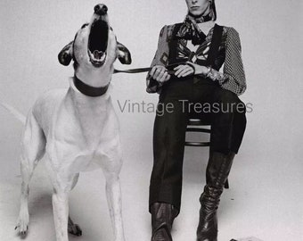 David Bowie Diamond Dog Print - Etsy